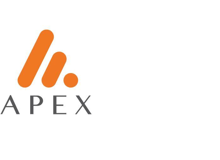Apex Group | Portfolio | TA